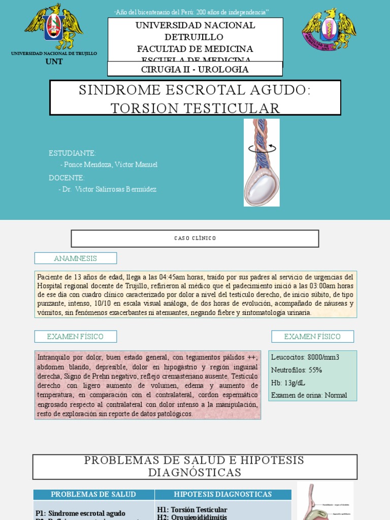Caso y Revisión de Sindrome Escrotal Agudo - Torsion Testicular | PDF ...