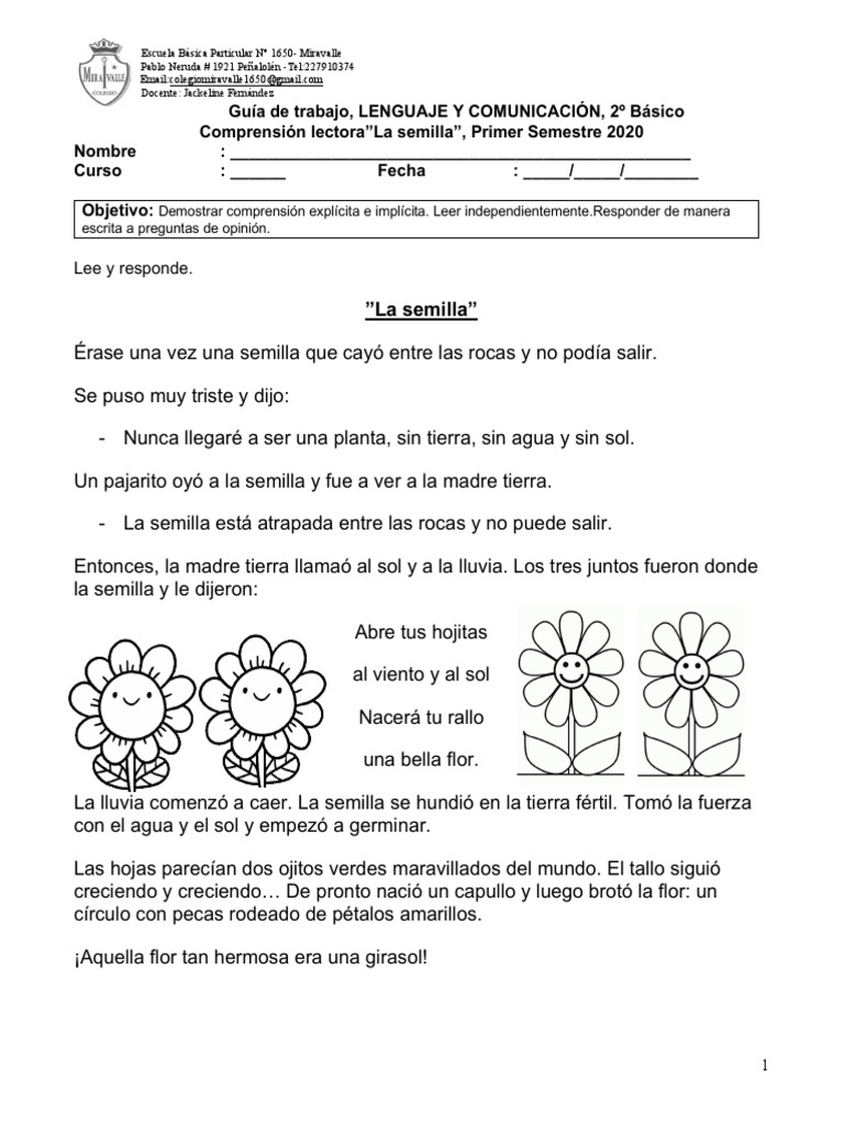 Comprensión Lectora: La Semilla | PDF | Botánica | Plantas