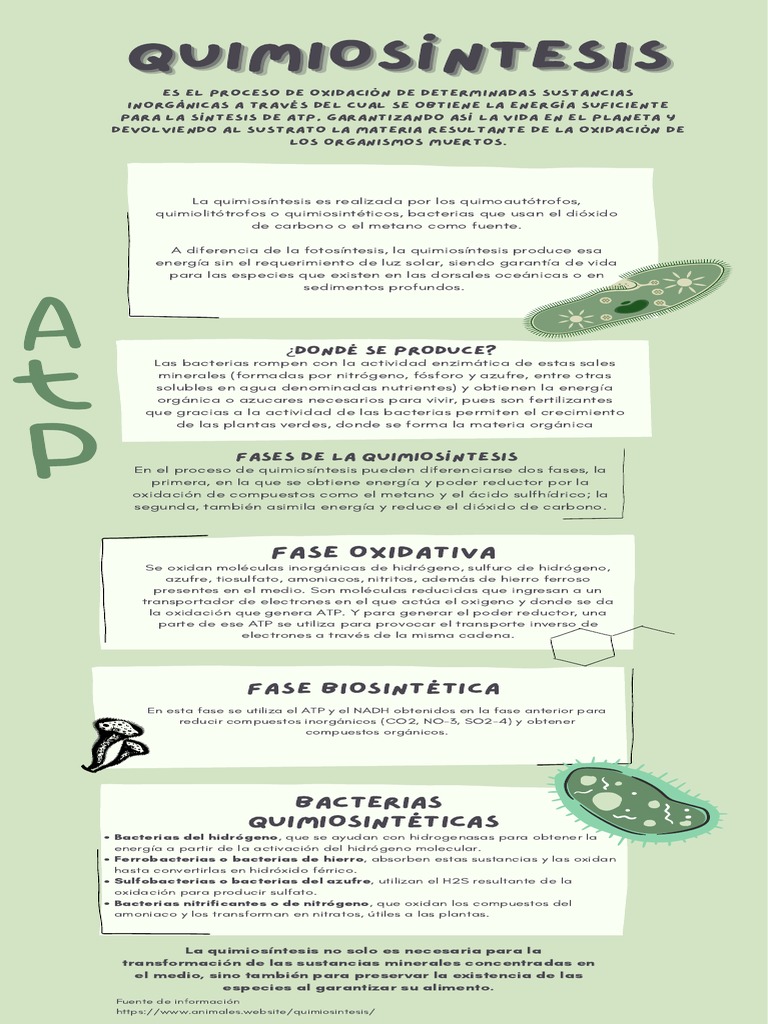 Quimiosintesis | PDF | Biología | Átomos