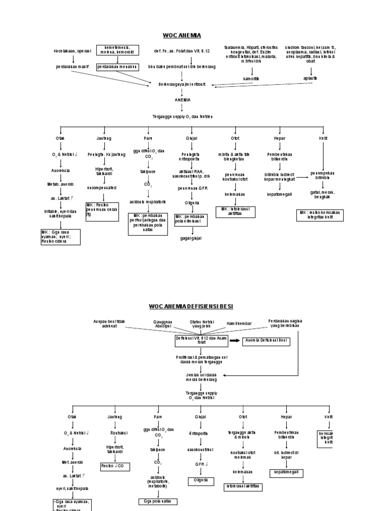 Woc Anemia | PDF