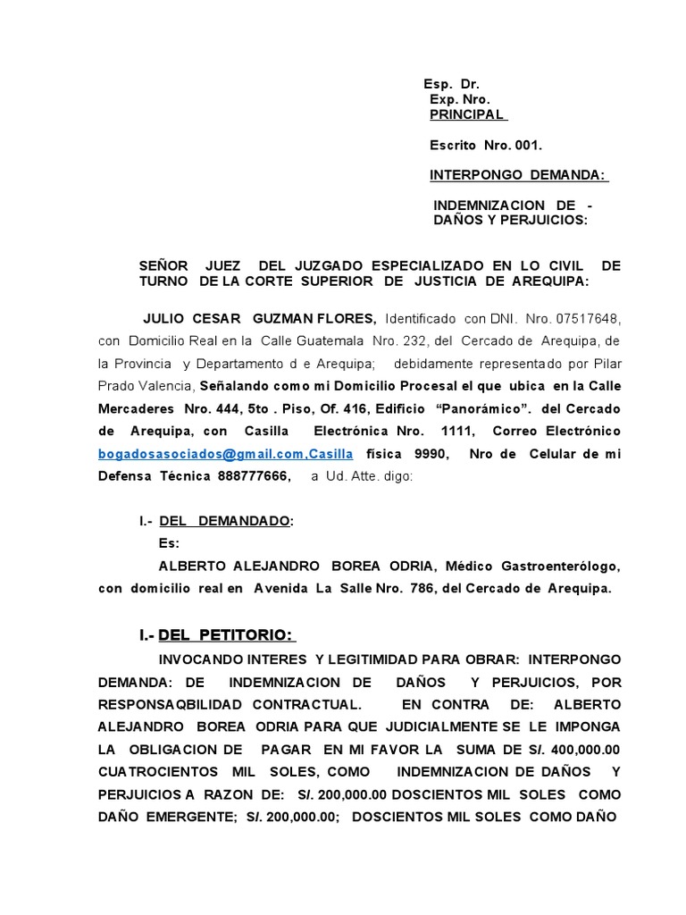 DEMANDA DE DAÑOS Y PERJUICIOS. Word | PDF