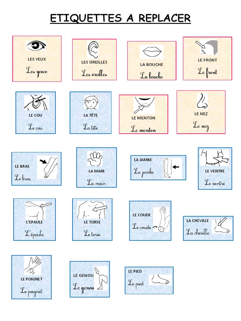 LE CORPS HUMAIN Etiquettes Legende | PDF