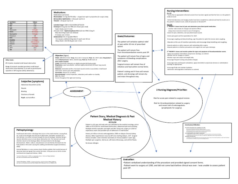 Laryngeal Cancer Concept Map | PDF | Clinical Medicine | Medical ...
