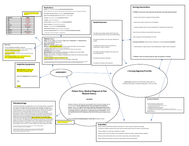 Small Bowel Obstruction Concept Map | PDF | Colorectal Cancer | Cancer