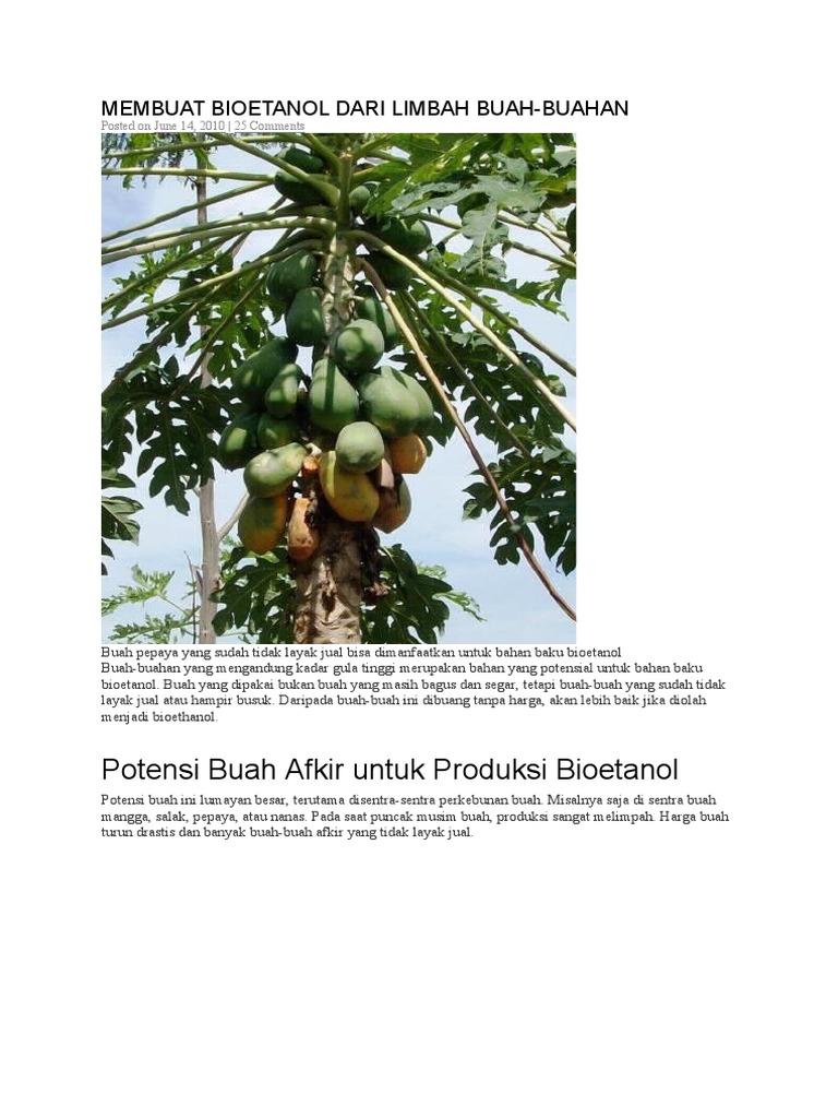 Membuat Bioetanol Dari Limbah | PDF