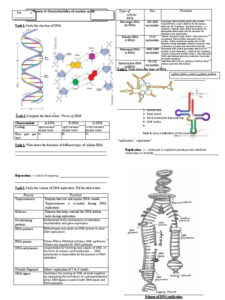 07 10 2021 Bio Assignment | PDF | Dna | Rna
