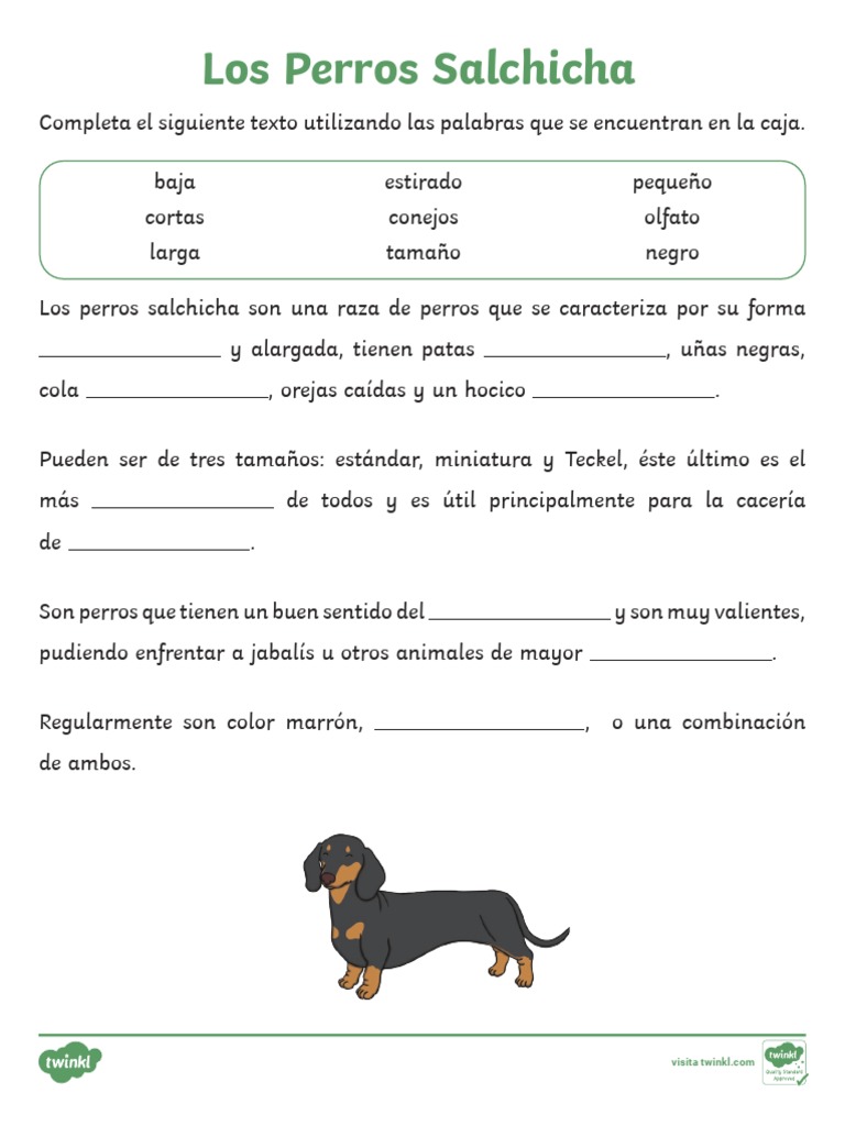 Completar Textos Perros Salchicha | PDF