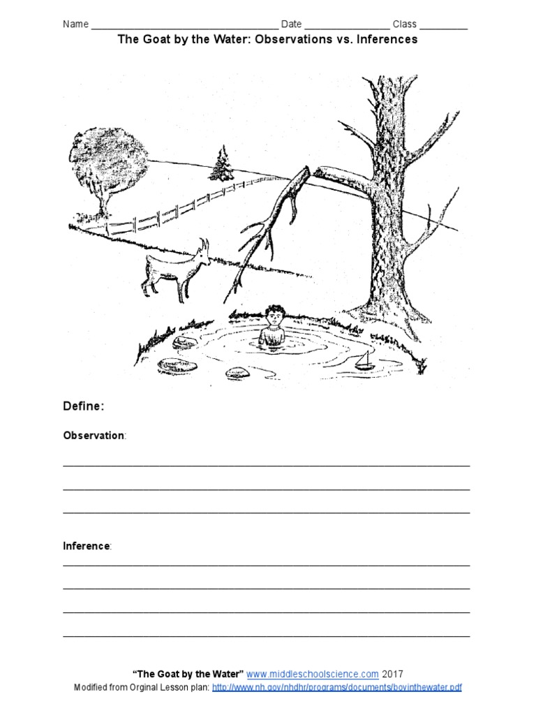 Observations vs. Inferences Worksheet | PDF