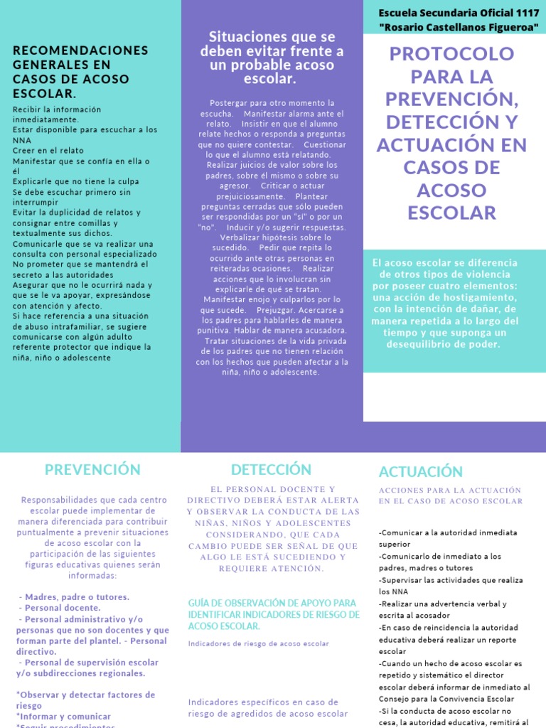 Protocolo para La Prevención, Detección y Actuación en Casos de Acoso Escolar | PDF