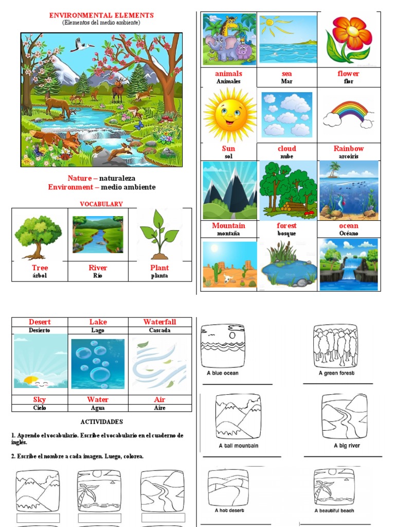 Environmental Elements | PDF