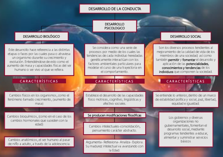 Mapa Conceptual Desarrollo de La Conducta | PDF | Comportamiento | Sociedad
