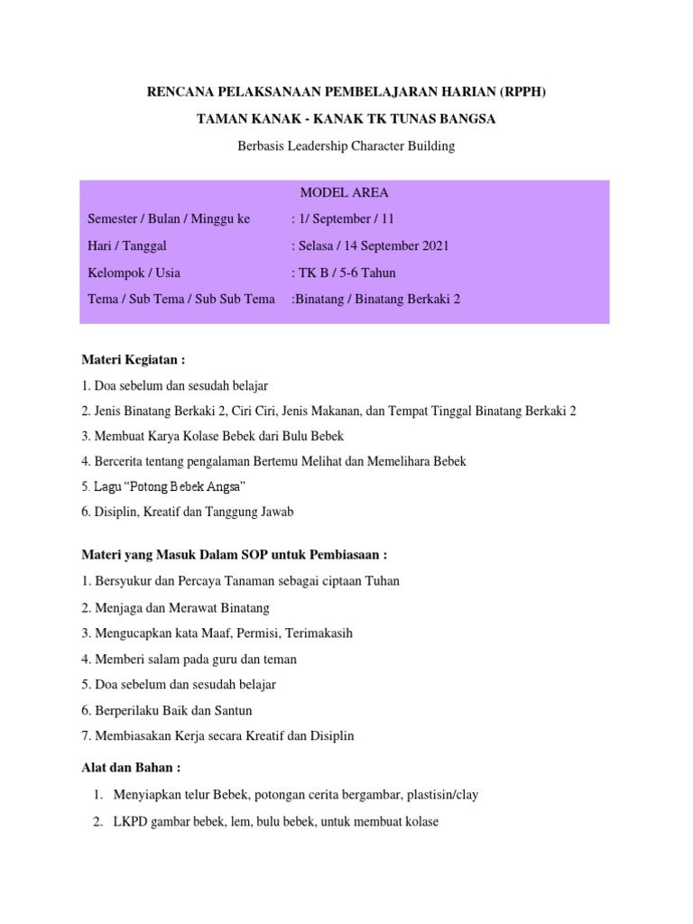 RPPH TK B Model Area | PDF