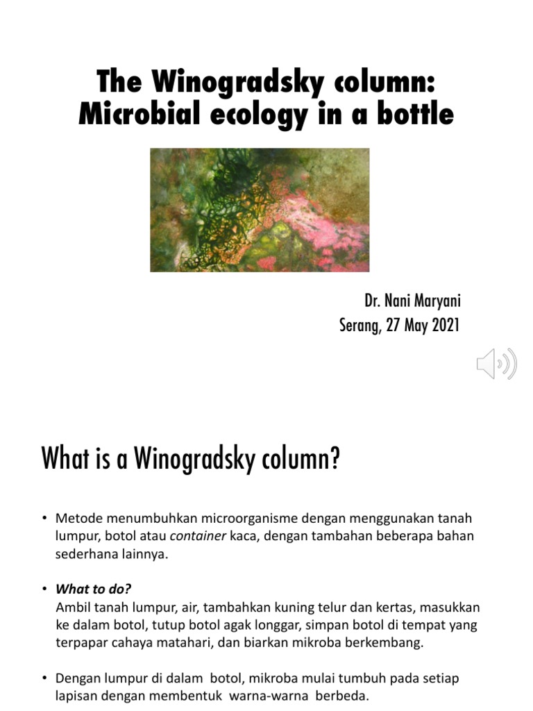 Winogradsky Column: Microbial Ecology Guide | PDF | Microorganism ...