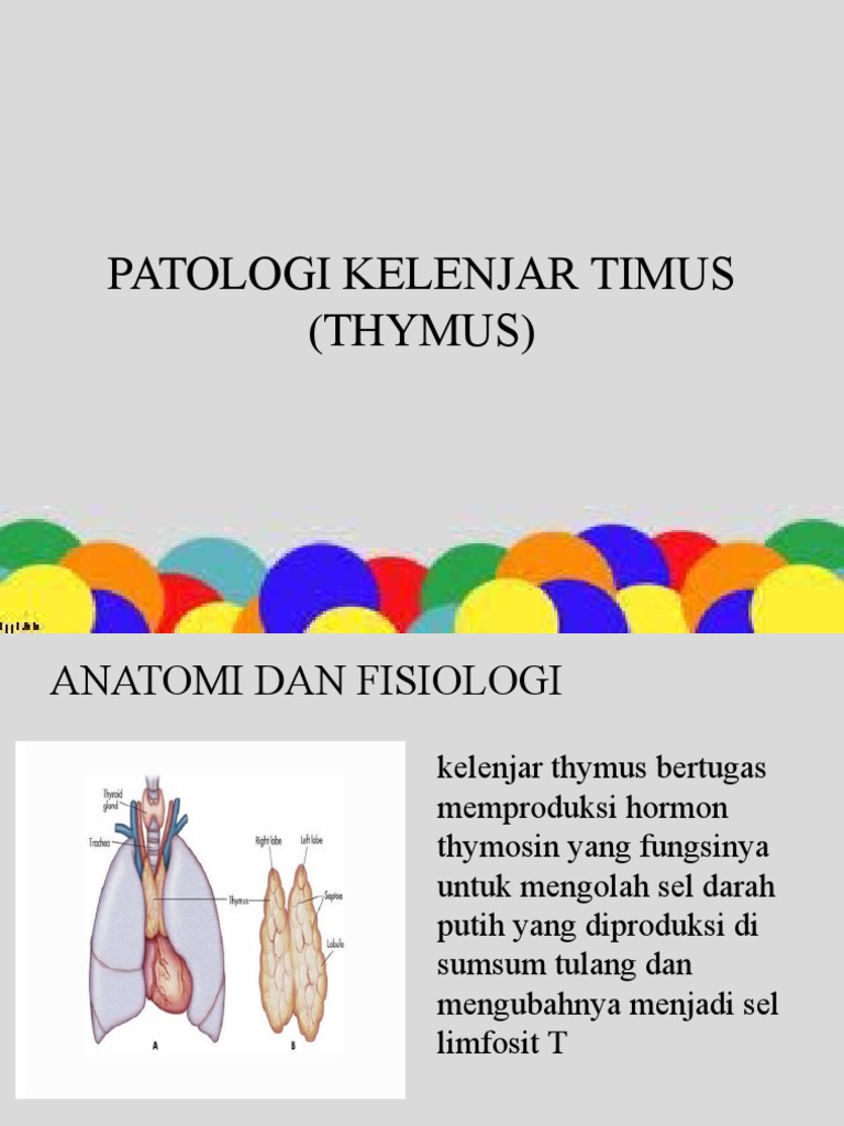 13a.patologi K.thymus | PDF | Pengembangan Diri | Sains & Matematika