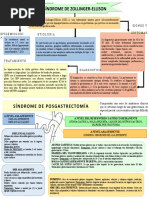 Clasificacion de Johnson | PDF | Cocina, comidas y vino | Salud y bienestar