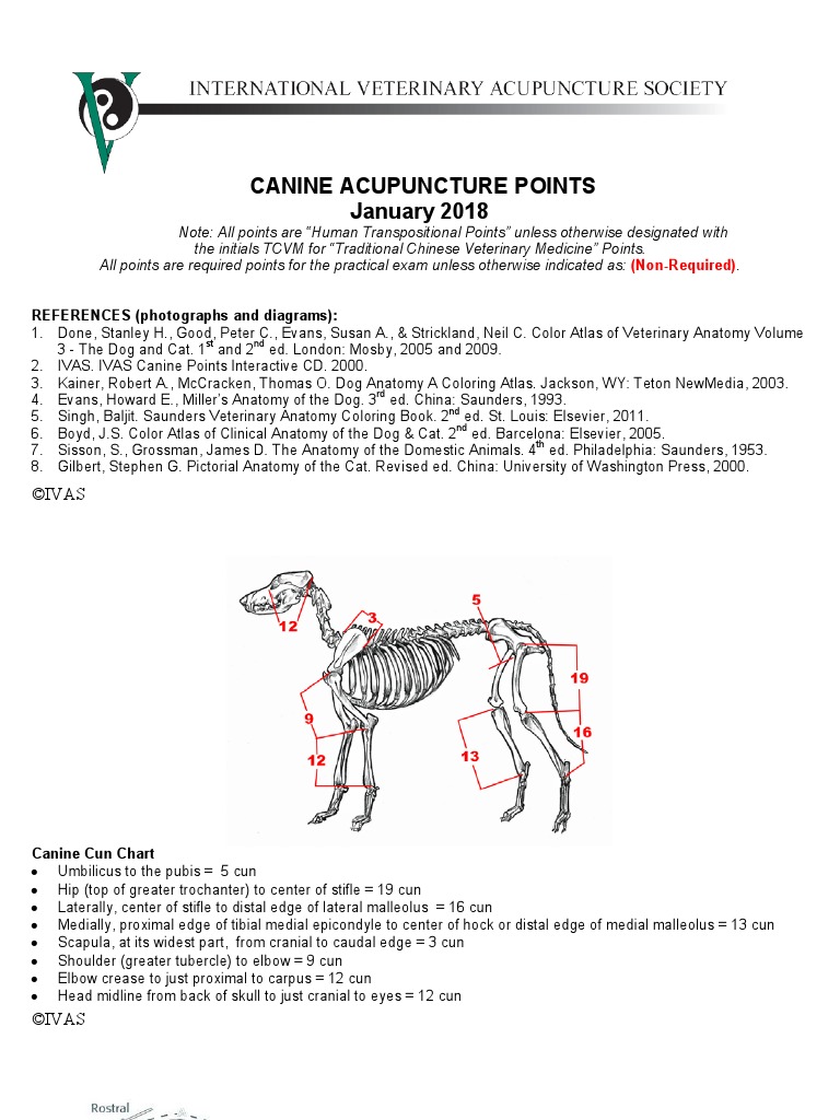 Canine Acupuncture Points January 2018 | PDF | Elbow | Traditional ...