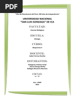 Método de Jaffé | PDF | Creatinina | Riñón