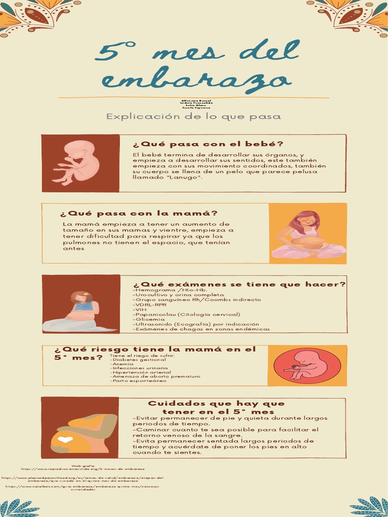 5° Mes Del Embarazo | Descargar gratis PDF | El embarazo | Enfermedades ...