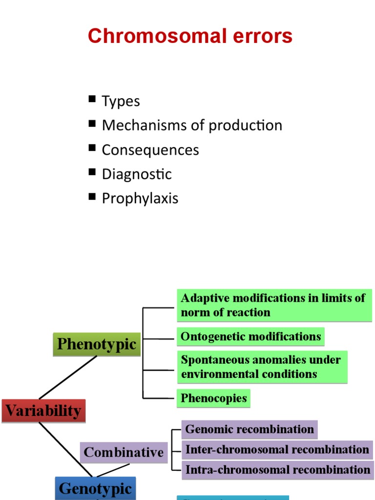 Chromosomal Errors: Types Mechanisms of Production Consequences ...