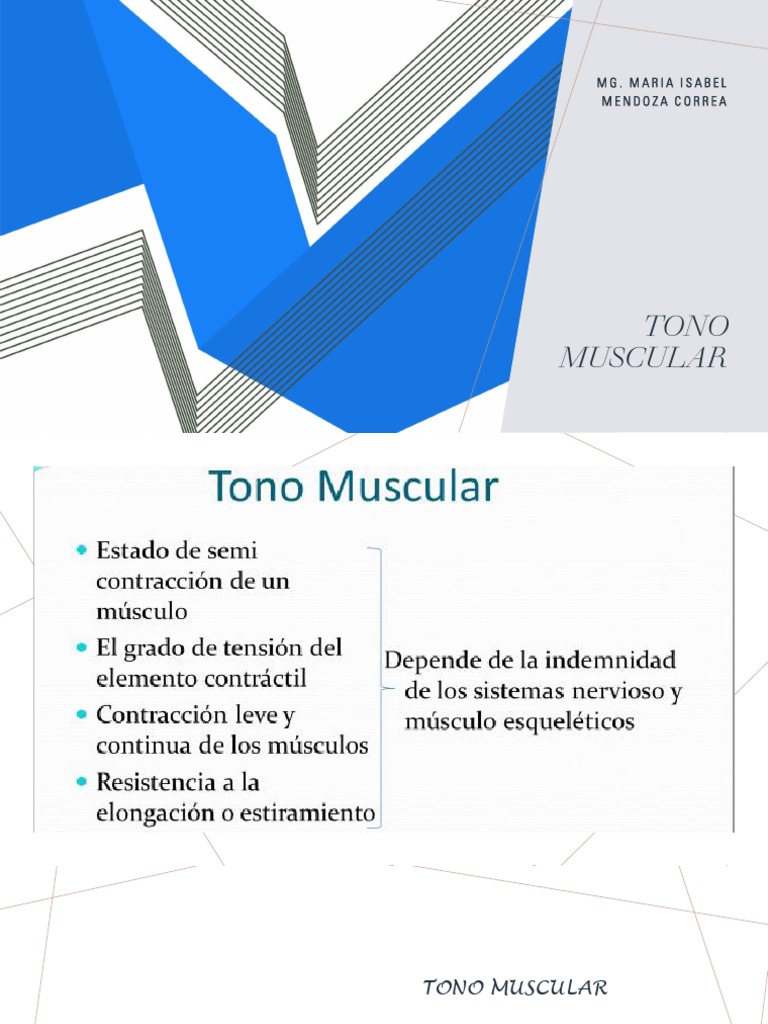 Teoria 5 Tono Muscular | PDF | Músculo | Cerebro