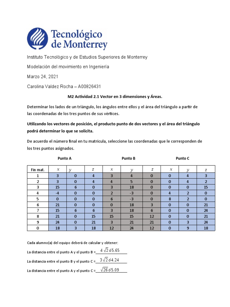 Vector en 3 Dimensiones y Áreas | PDF | Triángulo | Geometría