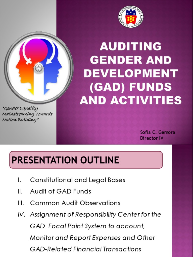 Guidelines in The Audit of GAD Fund and Activities in Government ...