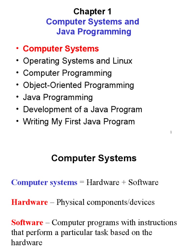 Computer Systems and Java Programming | PDF | Java (Programming ...