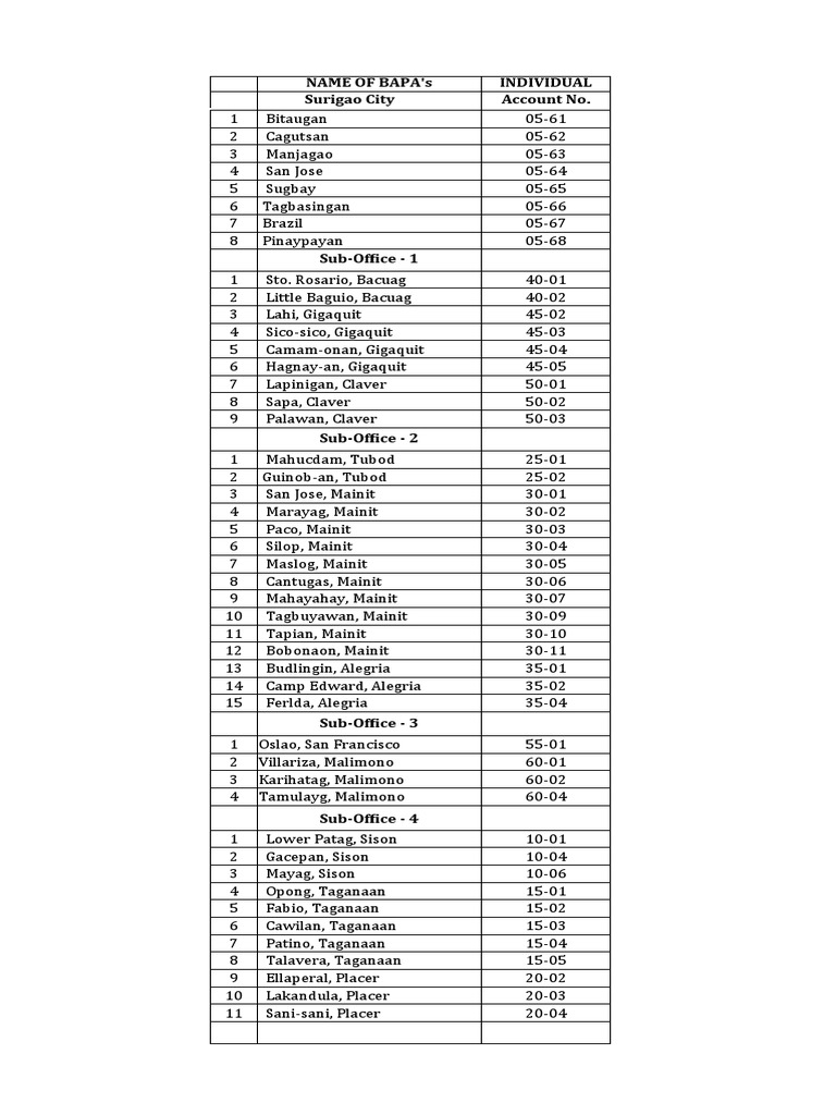 BAPA Individual Account Number | PDF