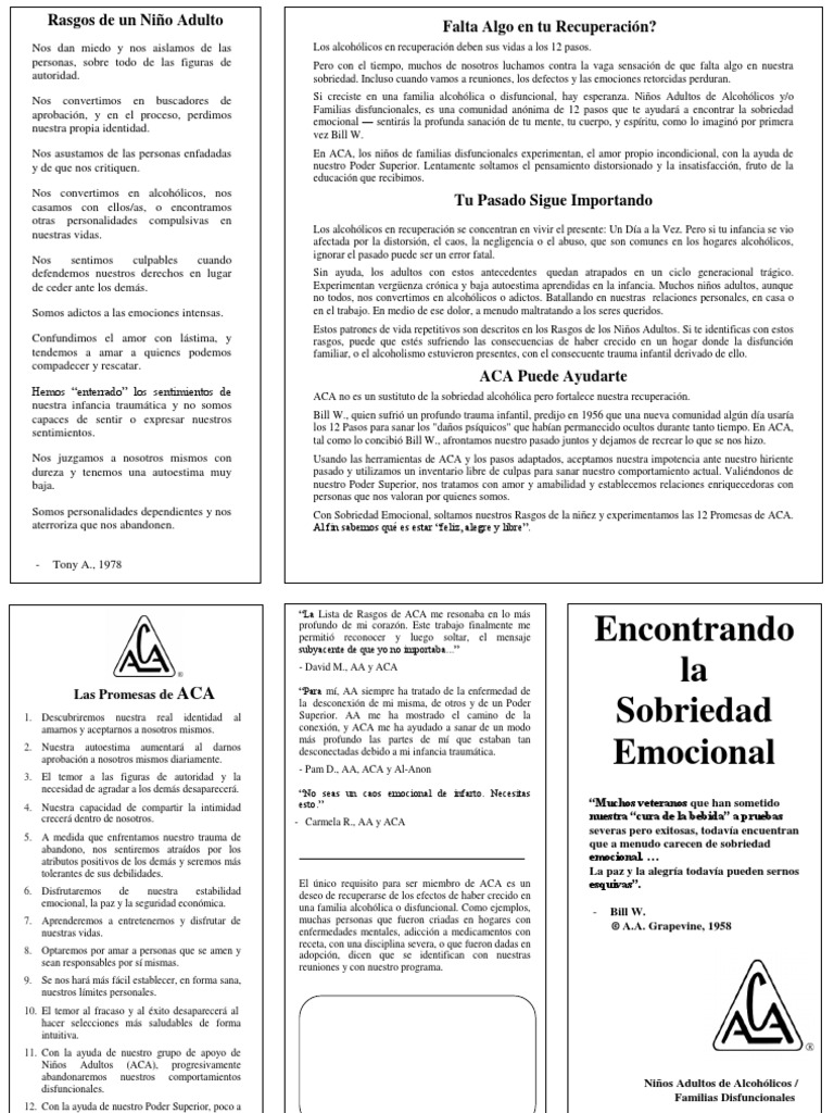 Sobriedad Emocional | PDF | Autoestima | Amor
