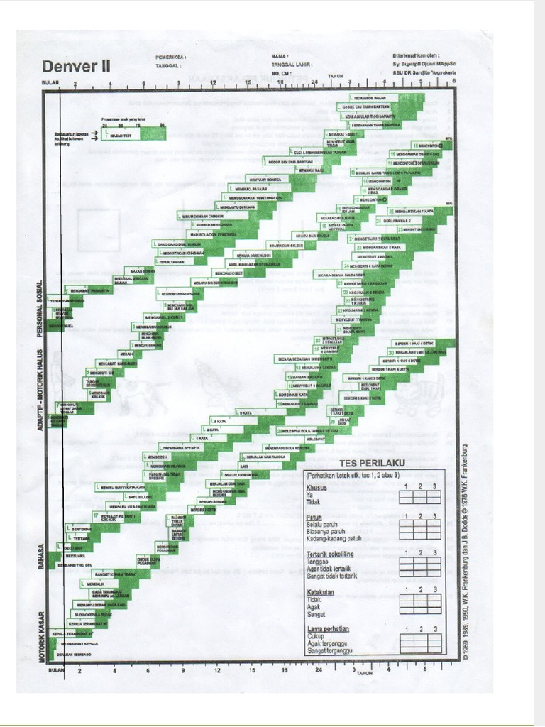 Denver II Screening Guide | PDF