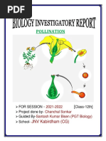 Pollination Class 12 Biology Project | PDF | Pollination | Pollinators