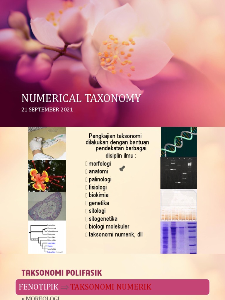 Taksonomi Numerik | PDF | Taxonomy (Biology) | Life Sciences