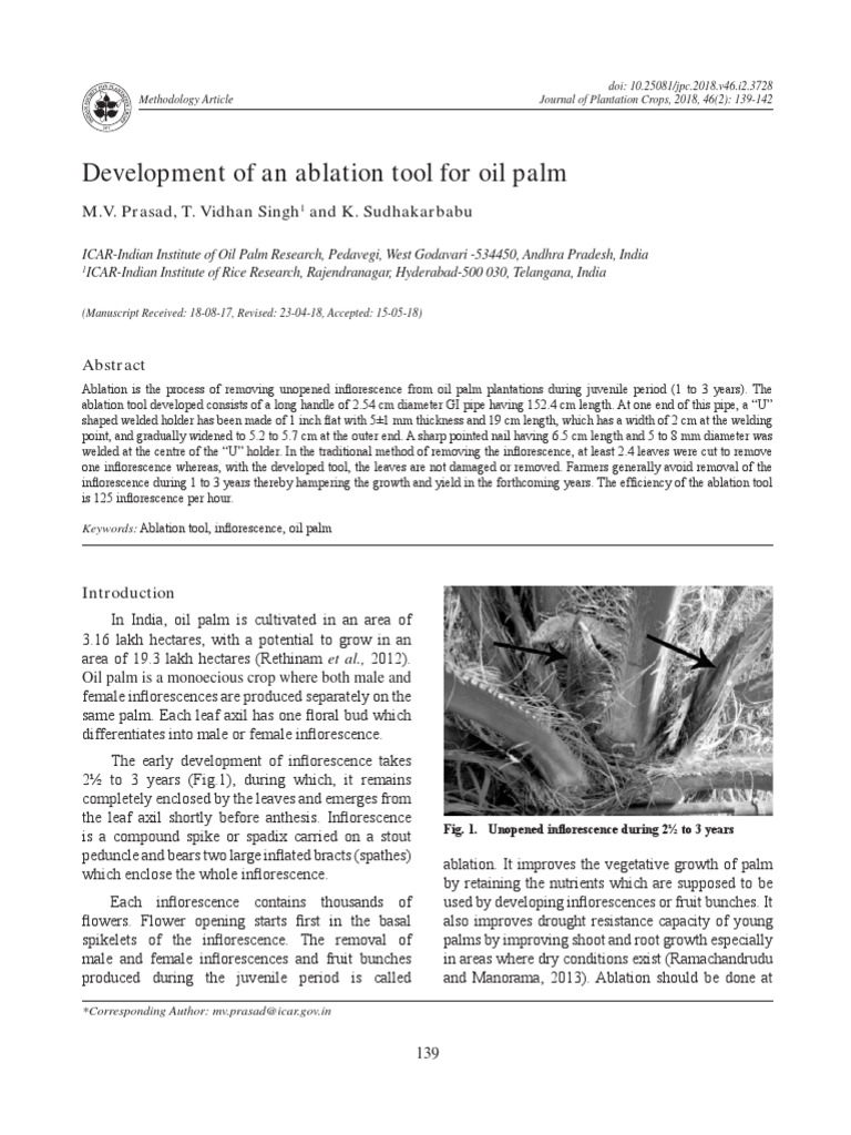 Efficient Oil Palm Ablation Tool | PDF