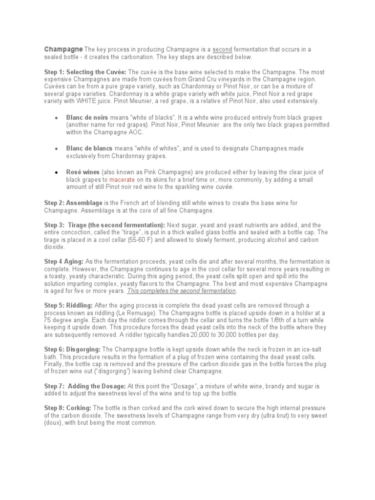 Champagne Basic Knowledge | PDF | Champagne | Wine