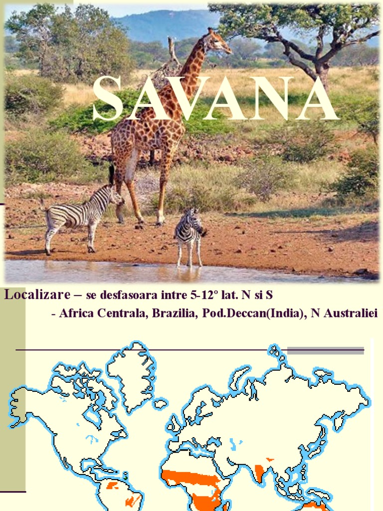 Savana | PDF
