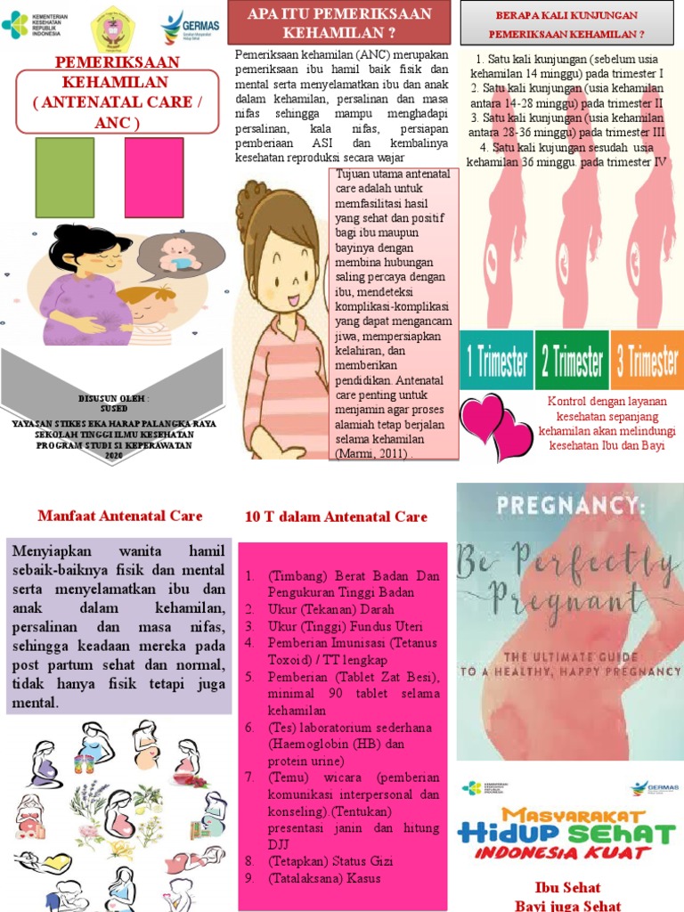 Leaflet Pemeriksaan Kehamilan Sused | PDF