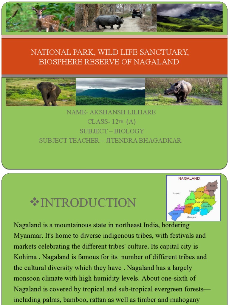 National Park, Wild Life Sancuary, Biosphere | PDF | Wildlife | Organisms