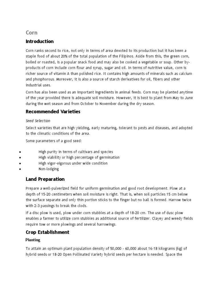 Corn Farming Guide 1 | PDF | Fertilizer | Maize