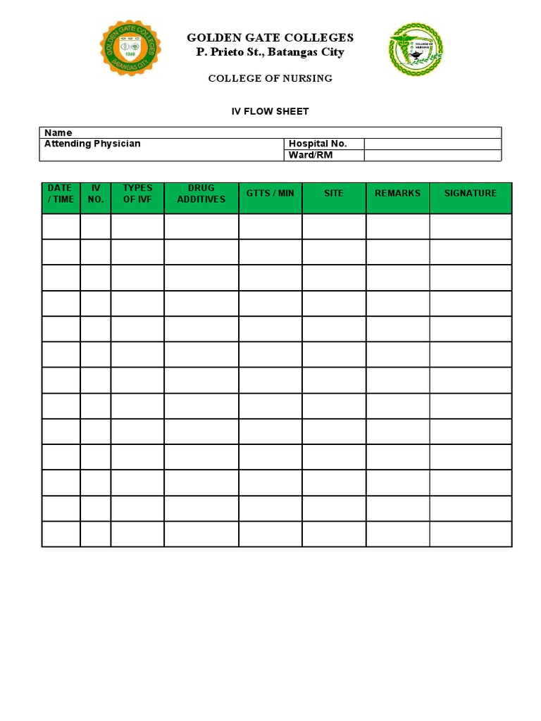IV Flow Sheet | PDF