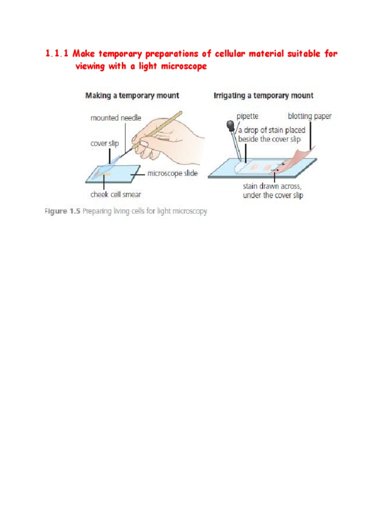 1.1.1 Make Temporary Preparations of Cellular Material Suitable For ...