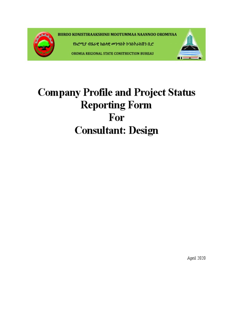 Profile and Project Status Reporting Form - Consultant - Design | PDF ...