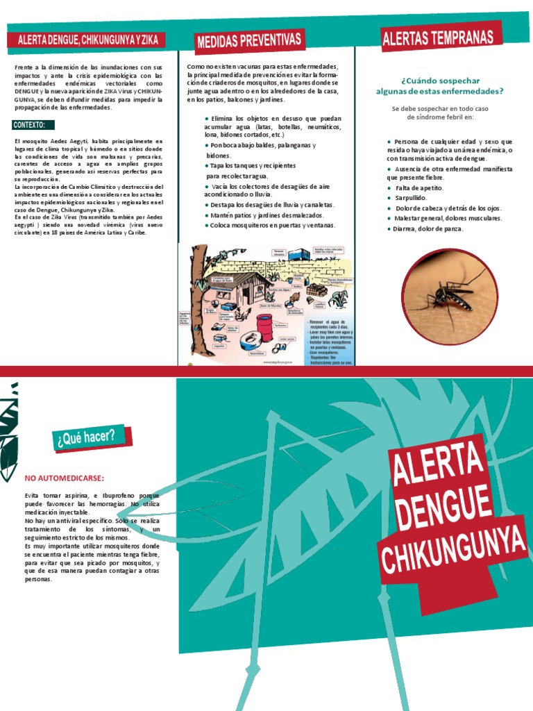 1.triptico Sobre El Dengue | PDF | Fiebre del zika | Medicina