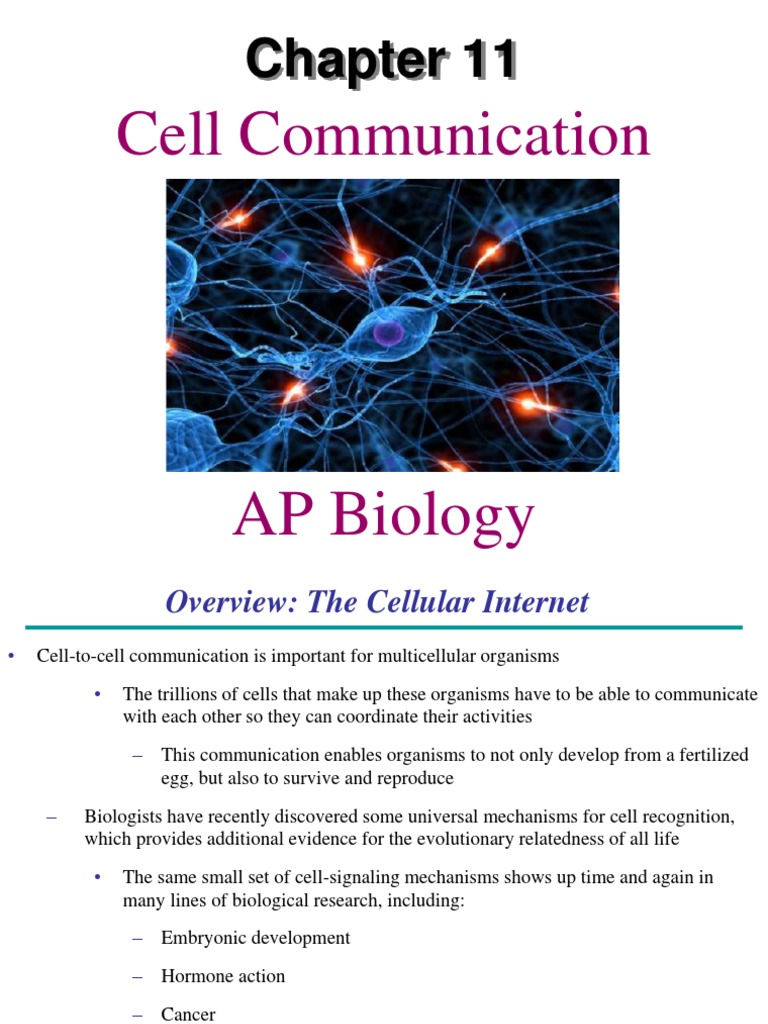 Cell Communication Mechanisms in Biology | PDF | Signal Transduction ...