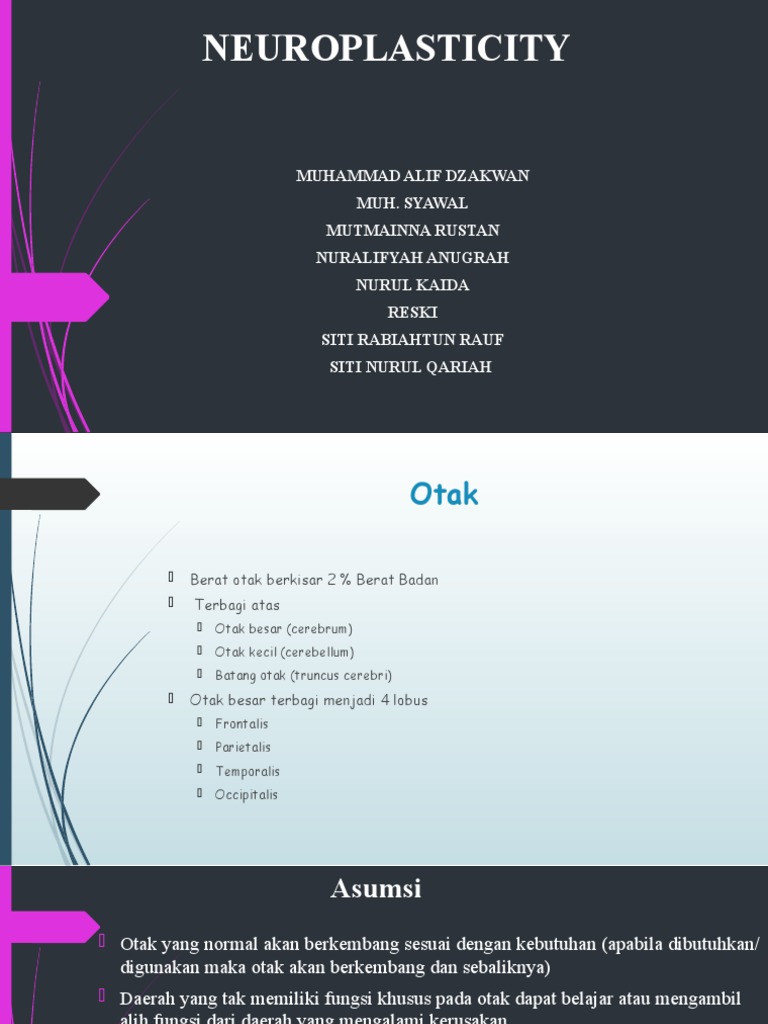 NEUROPLASTICITY | PDF