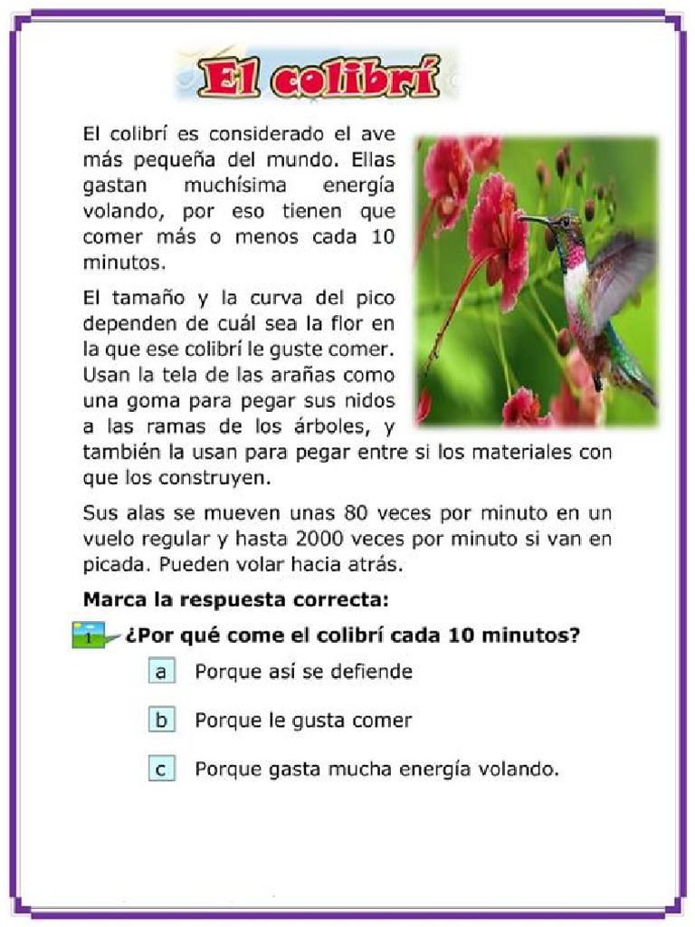 Lectura COLIBRÍ | PDF