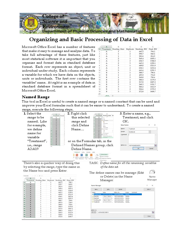 LESSON 2.2a - Organizing Data in Excel | PDF | Microsoft Excel ...