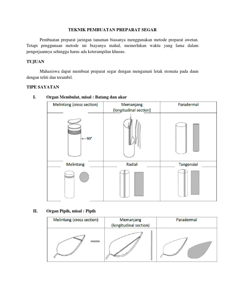 Teknik Pembuatan Preparat Segar | PDF | Griya & Taman