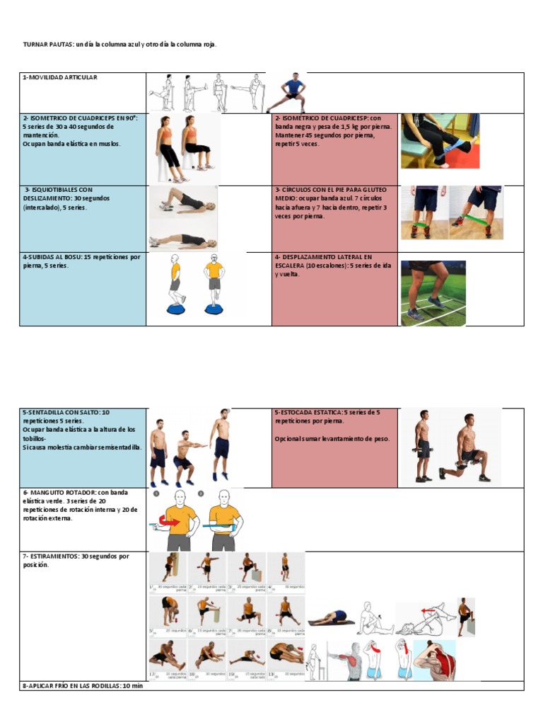 2 Pauta Eeii 2 Ejercicios Fisicos | PDF