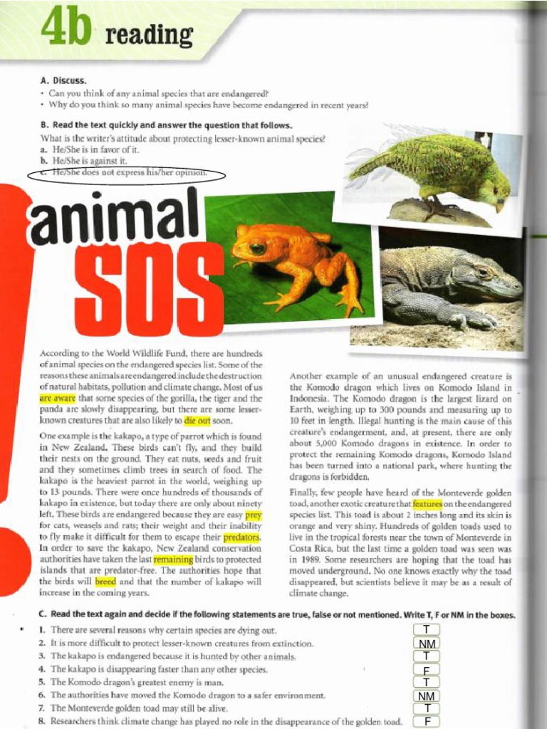 Unit 4 | PDF | Tierra | Aves