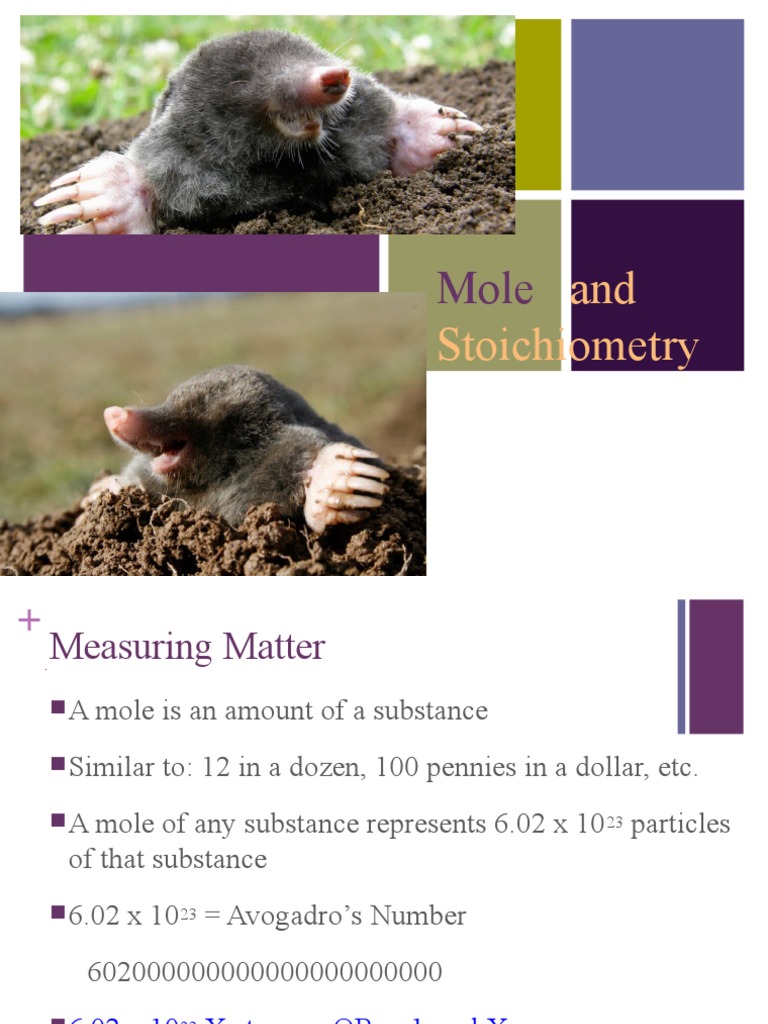 Measuring Matter and Stoichiometry | PDF | Mole (Unit) | Sodium Chloride